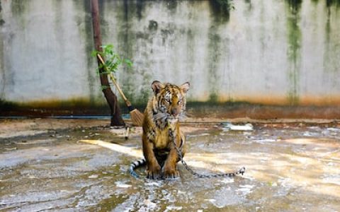 如何在Edge浏览器中创建和管理多个用户账户？_Wikishu