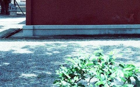 e330 – 了解一下食品添加剂E330：它到底是个什么东西？_Wikishu