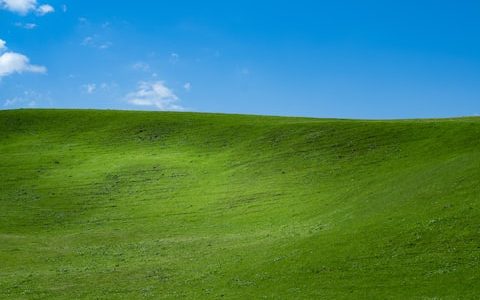 “正在运行”如何在Windows10上查看和管理正在运行的进程？_Wikishu