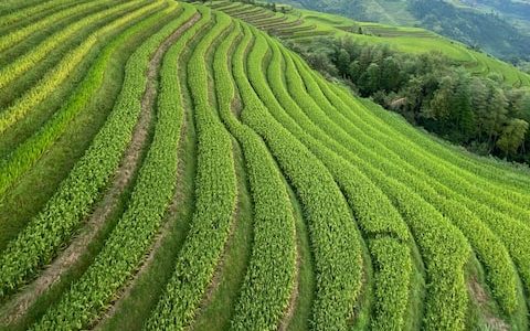 如何开启/关闭Edge浏览器自动填充表单？_Wikishu